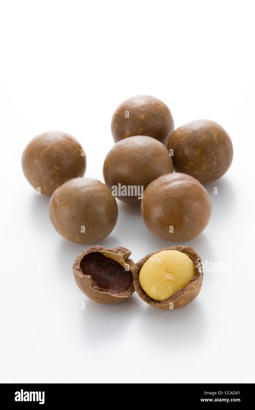 Macadamia nut with shell hi-res stock photography and images - Alamy