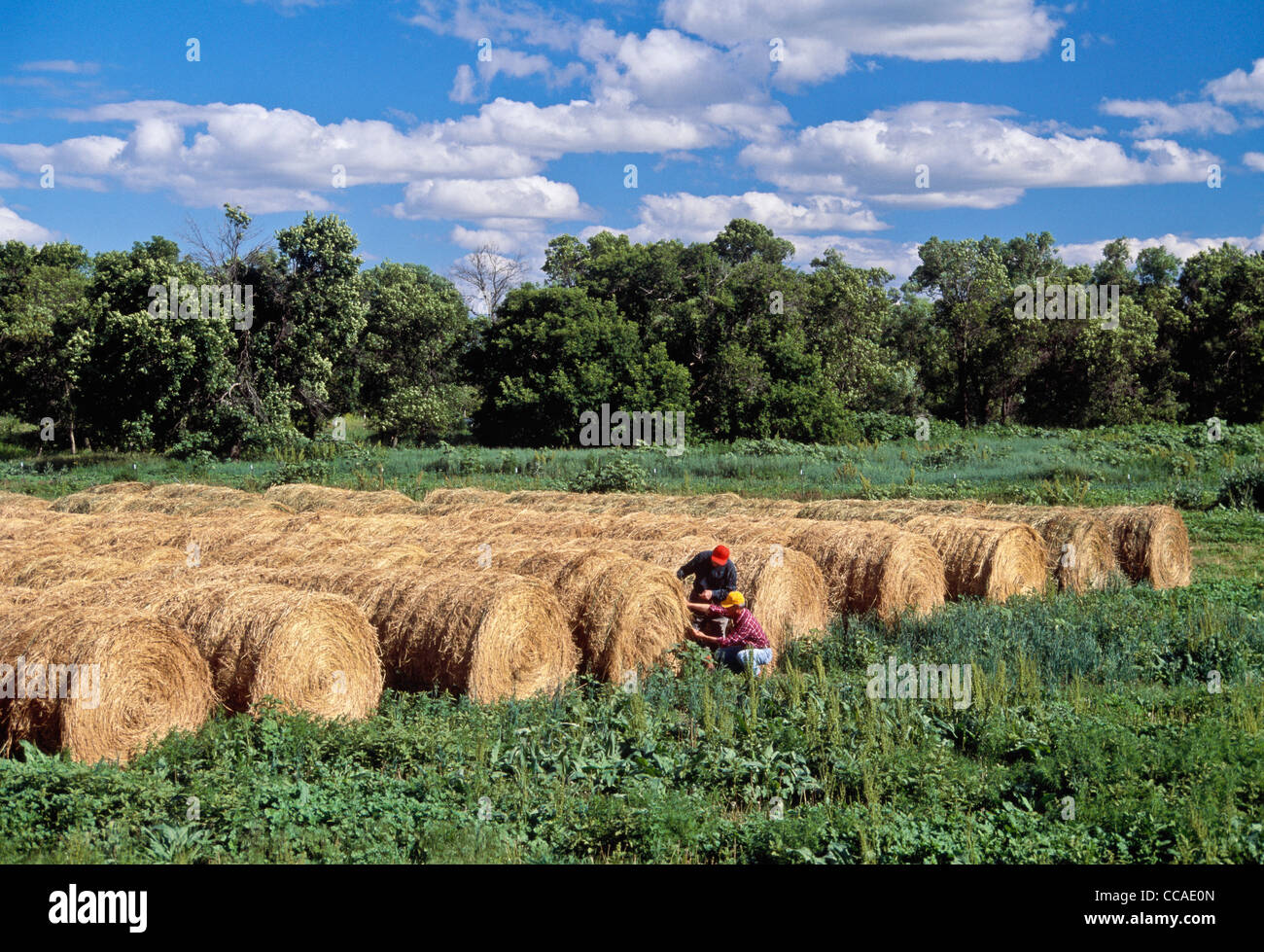 Farmers feed america hi-res stock photography and images - Alamy