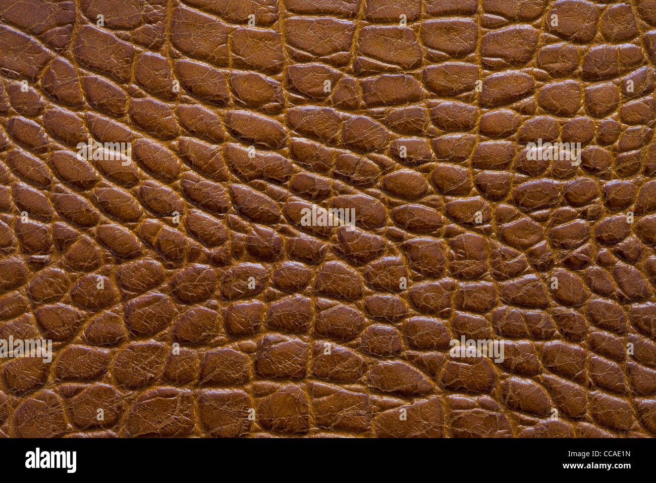 Snakeskin pattern hi-res stock photography and images - Alamy