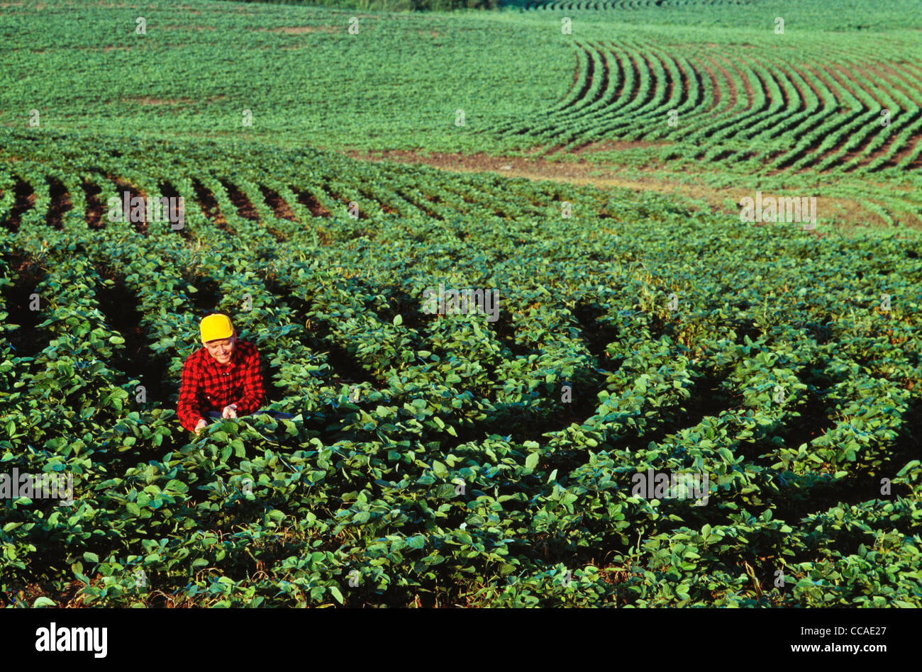 Farmer In Planted Field, Iowa Stock Photo - Alamy