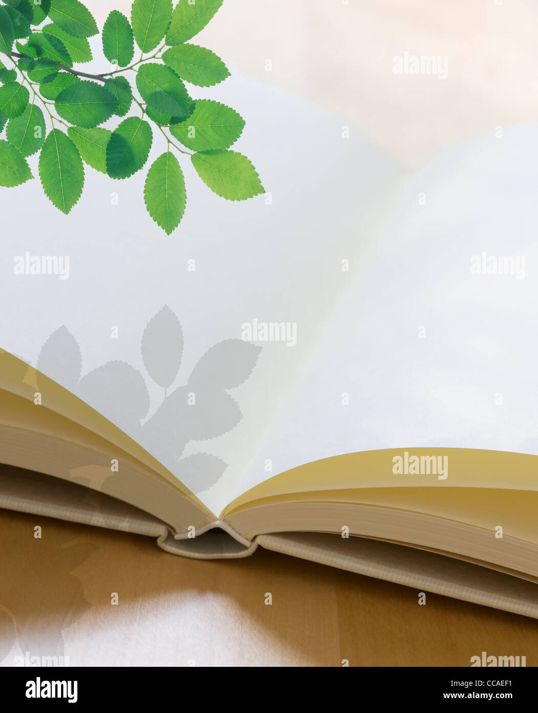 Leaf Over Open Book Stock Photo - Alamy
