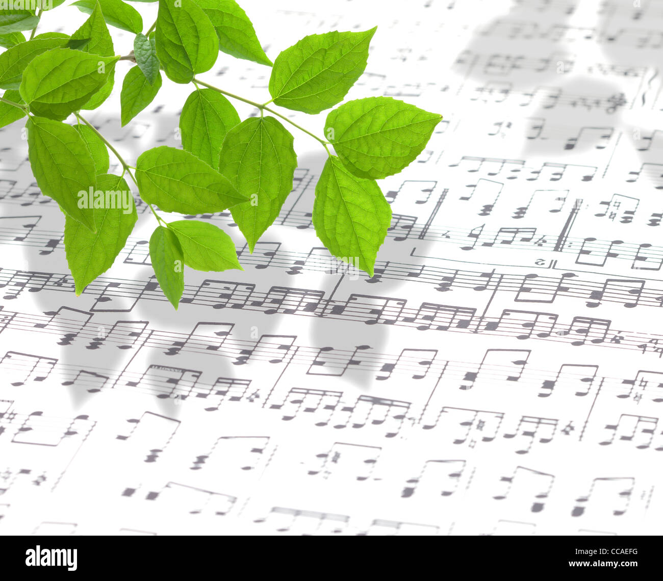 Leaves Over Musical Notes Stock Photo - Alamy