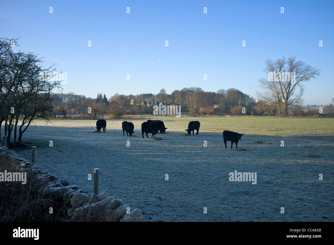 Asthall winter hi-res stock photography and images - Alamy