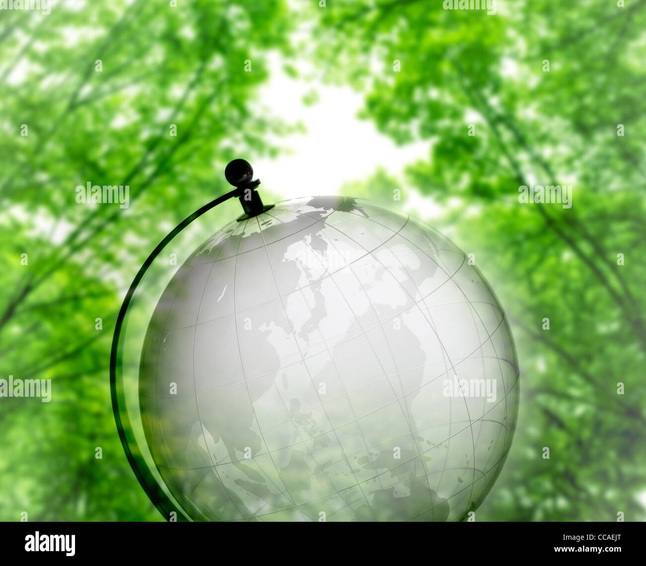 Globe in Forest Stock Photo - Alamy