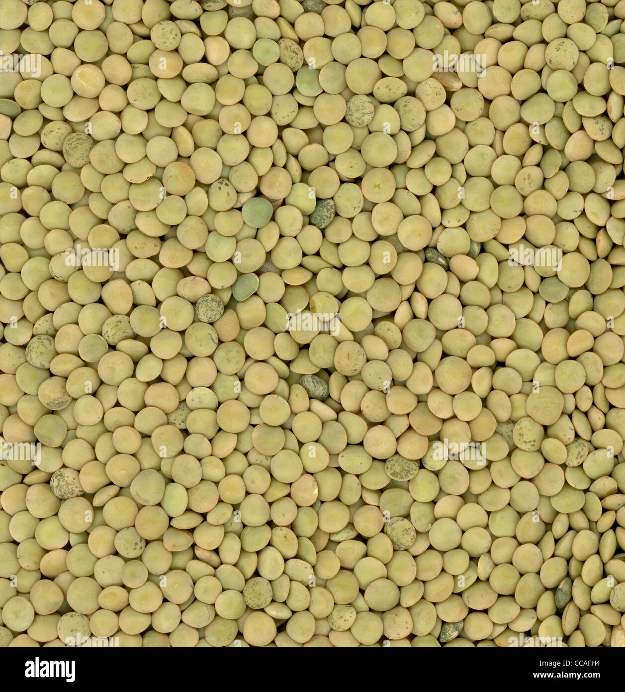 Lentil background for your design Stock Photo - Alamy