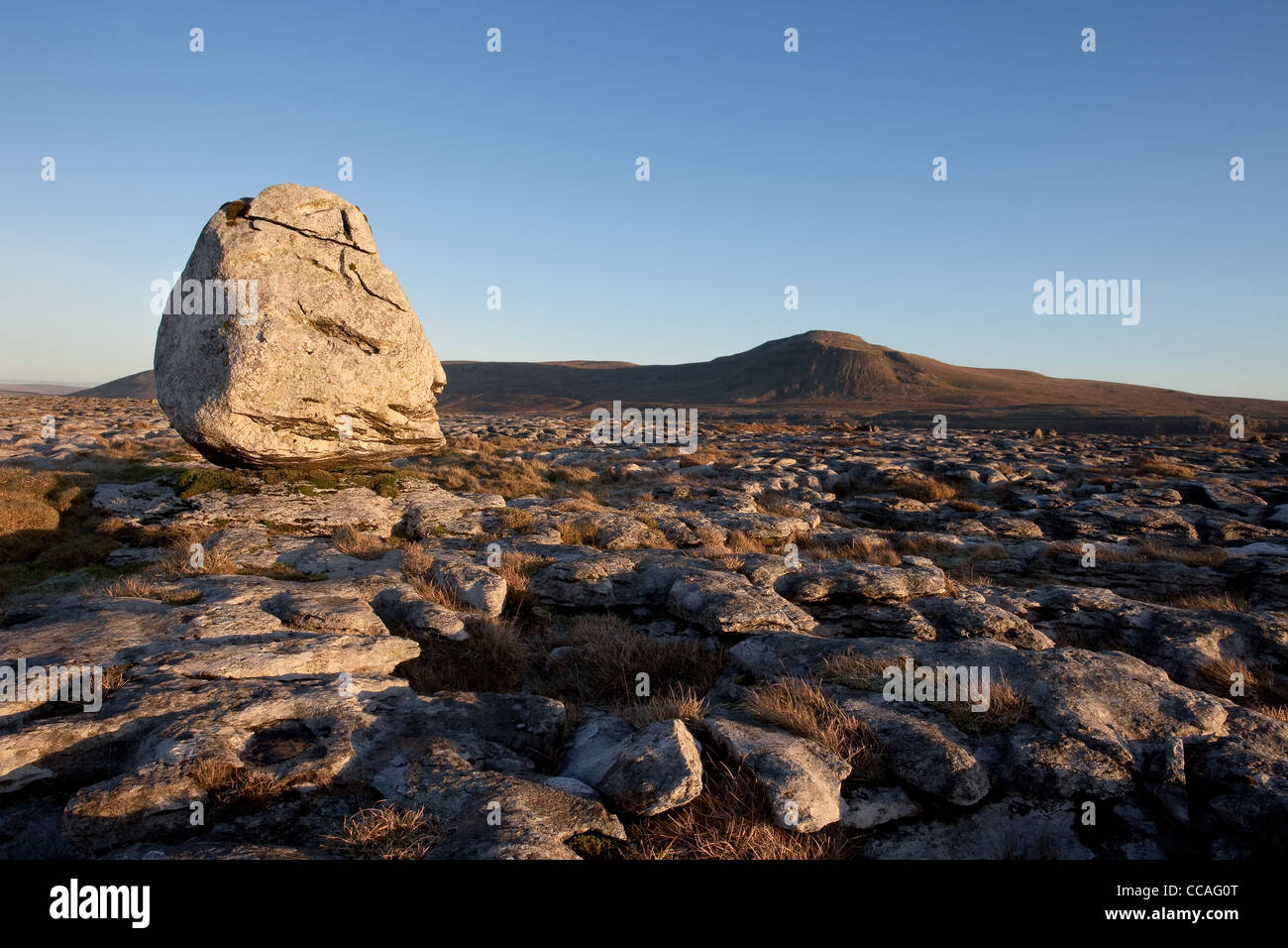 Massive greywacke boulder hi-res stock photography and images - Alamy