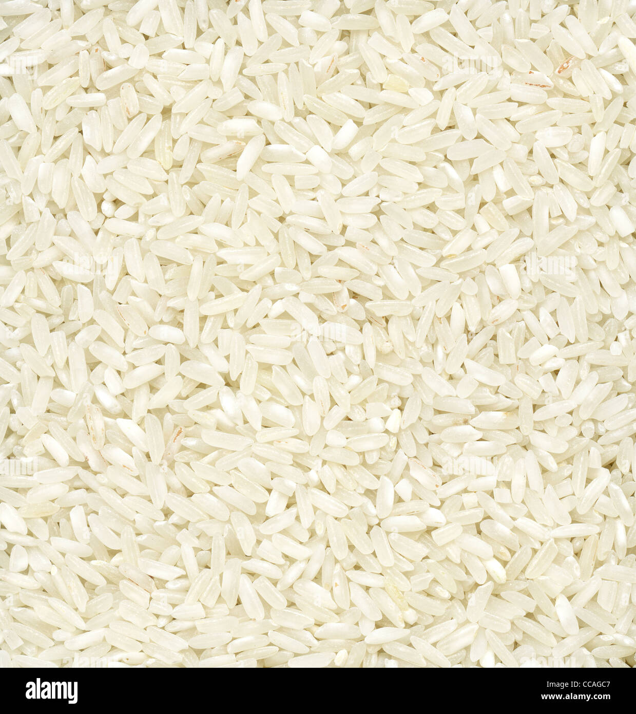 white long rice background for your design Stock Photo - Alamy