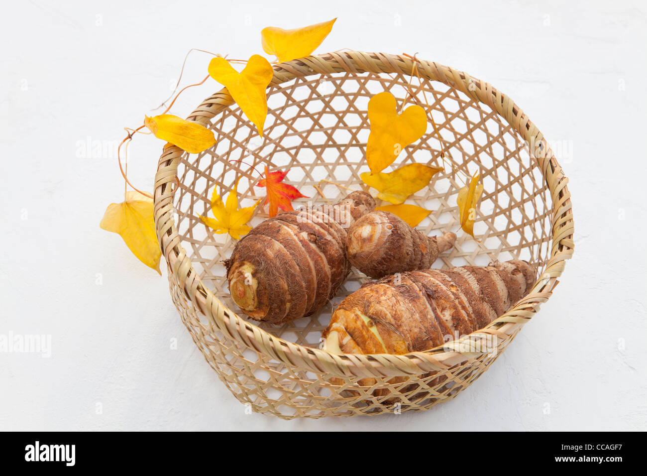 White taro hi-res stock photography and images - Alamy