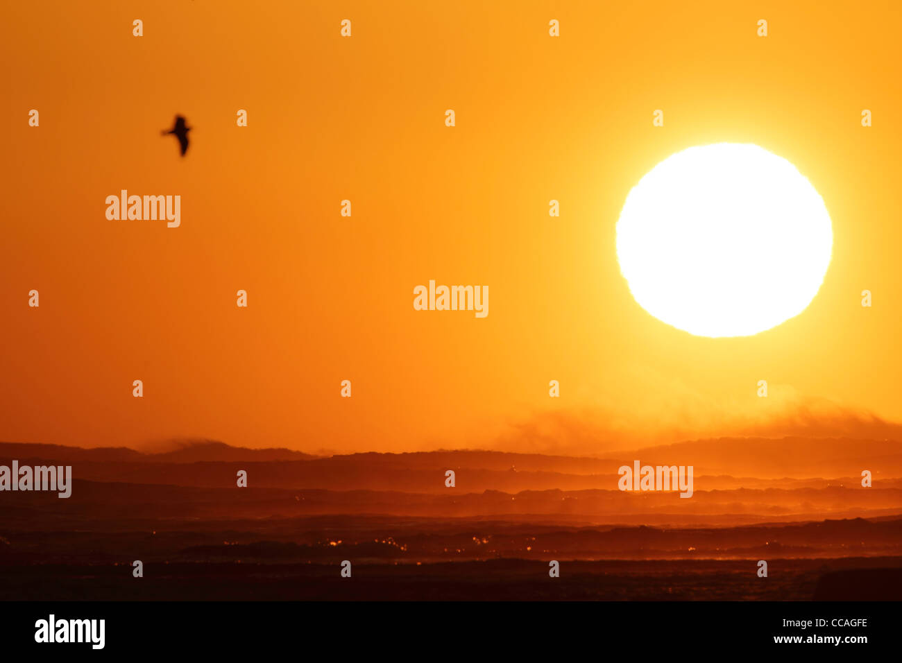 Colorful beauty of nature journey moods hi-res stock photography and ...