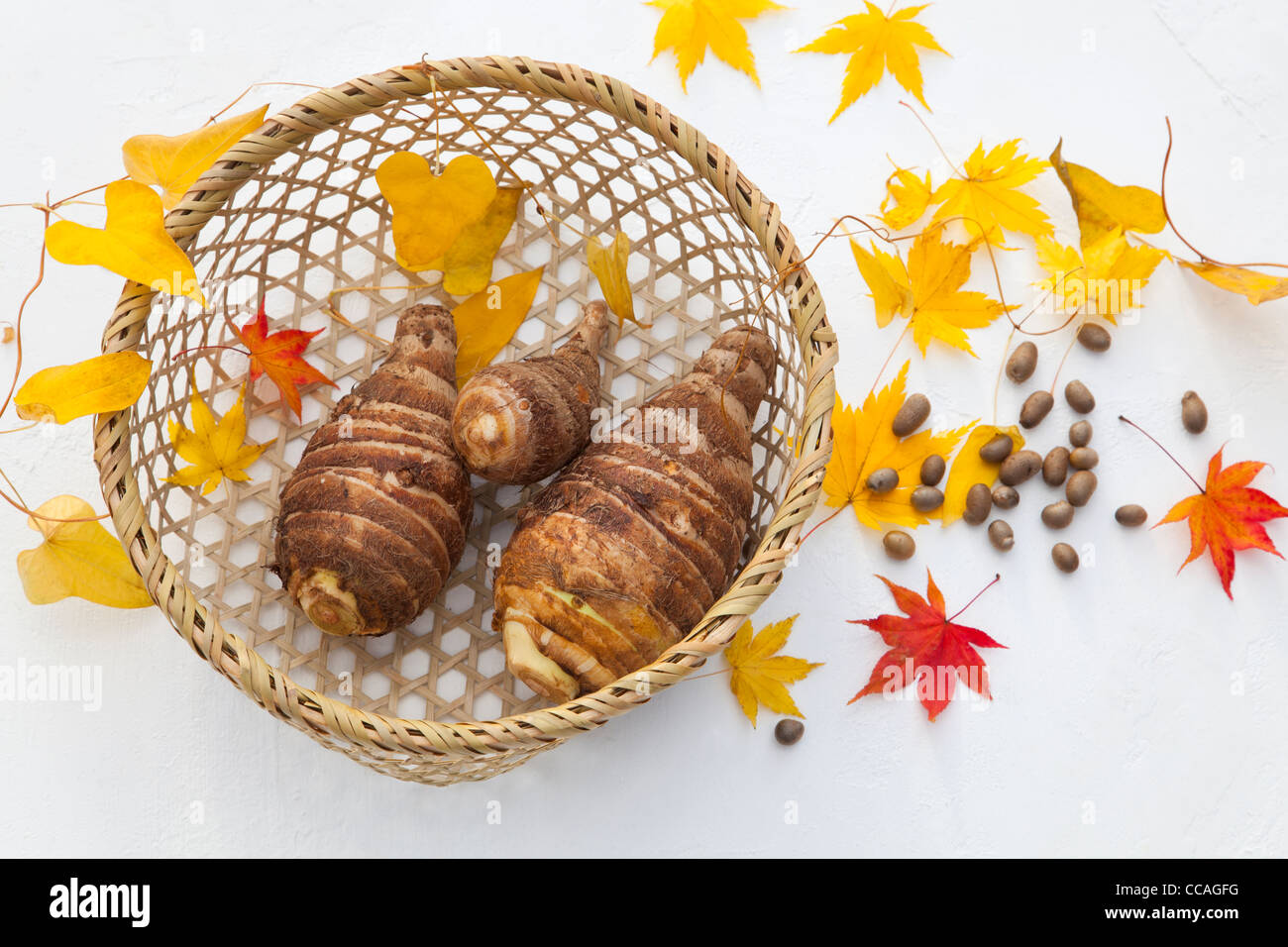 Taros hi-res stock photography and images - Alamy