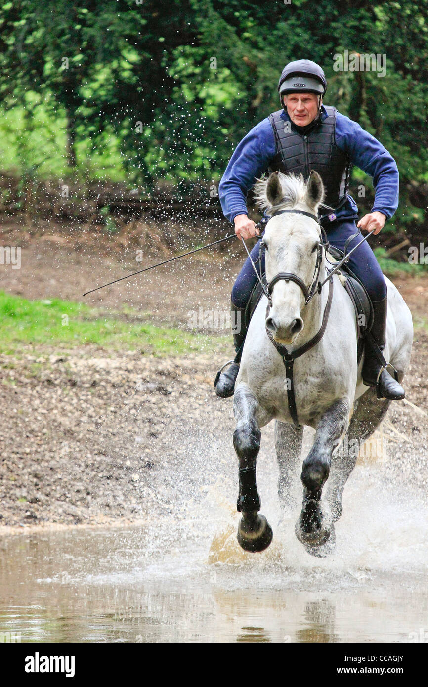 Water jump horse hi-res stock photography and images - Alamy
