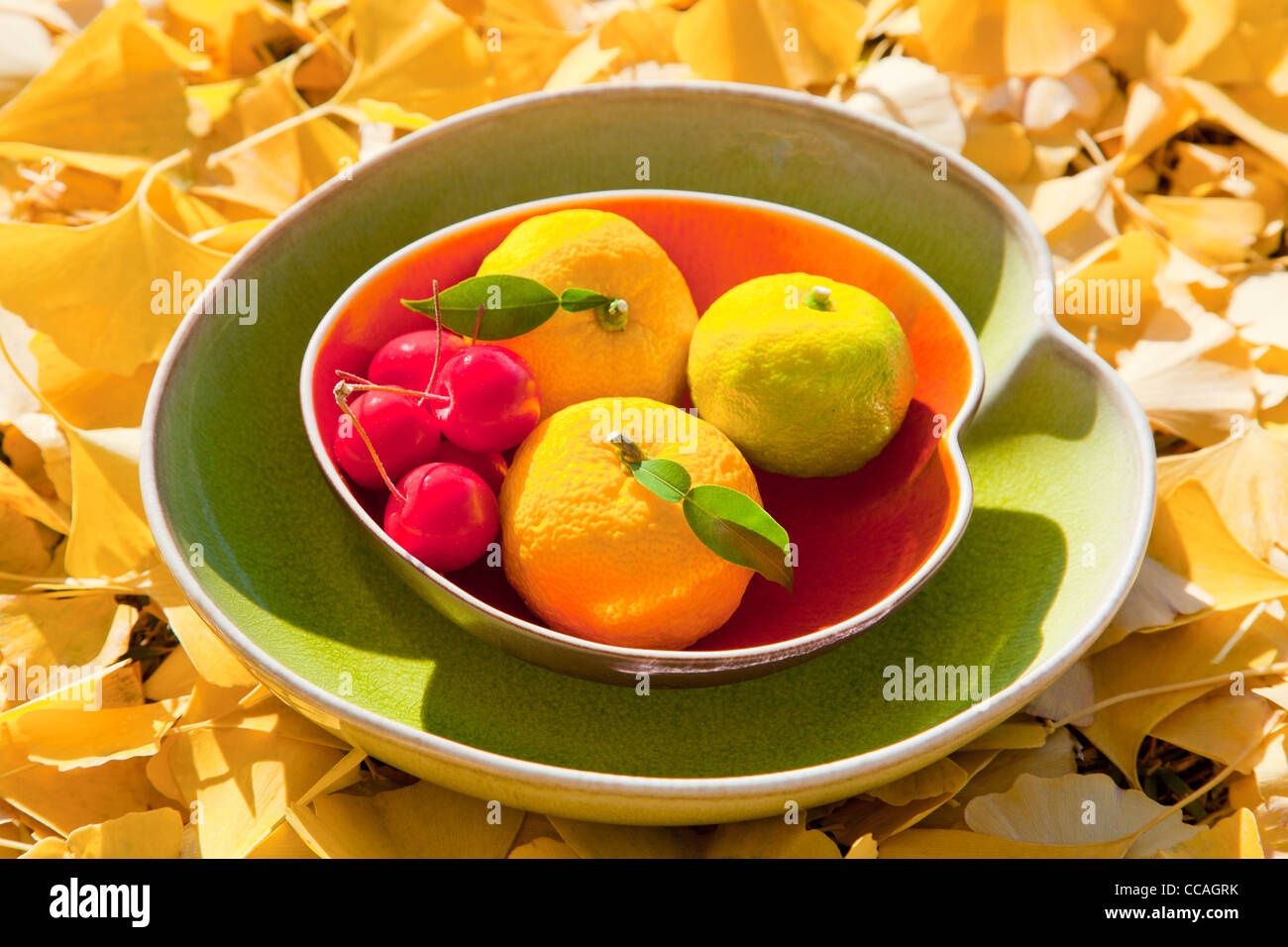Princess tree fruits hi-res stock photography and images - Alamy