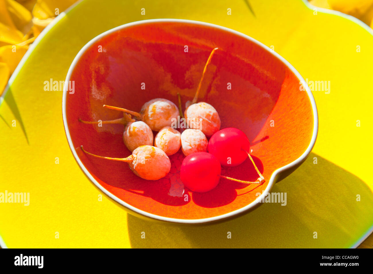 Nut princess hi-res stock photography and images - Alamy