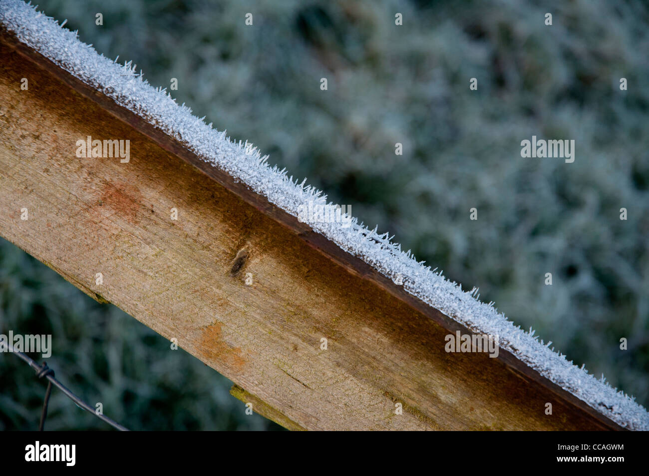 heavy frost on timber rail showing extent of frost Stock Photo - Alamy