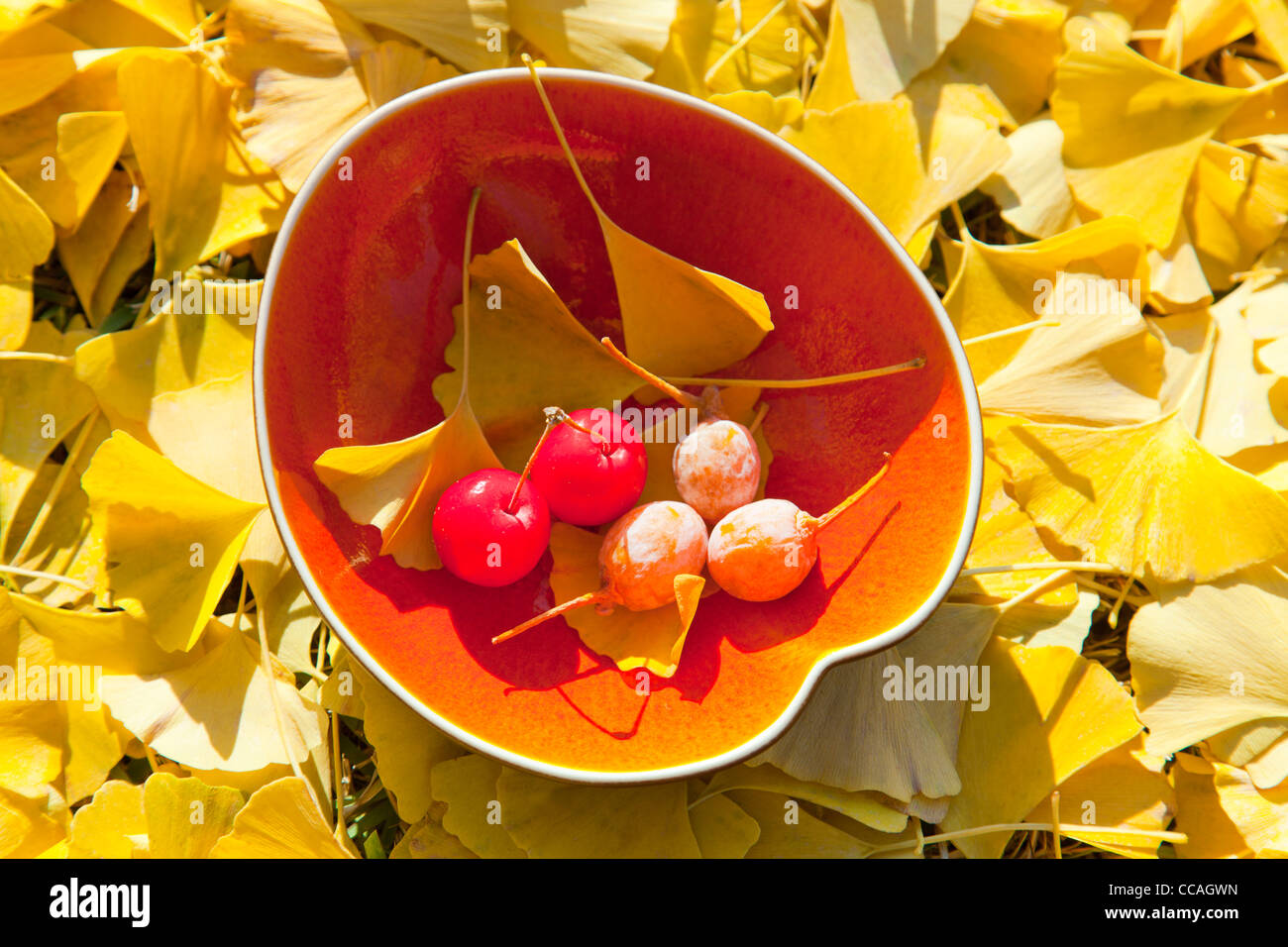 Princess nut nuts hi-res stock photography and images - Alamy
