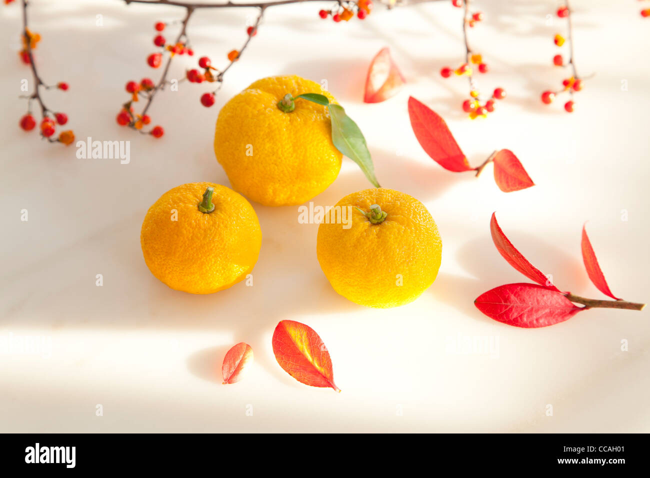 Yuzus hi-res stock photography and images - Alamy