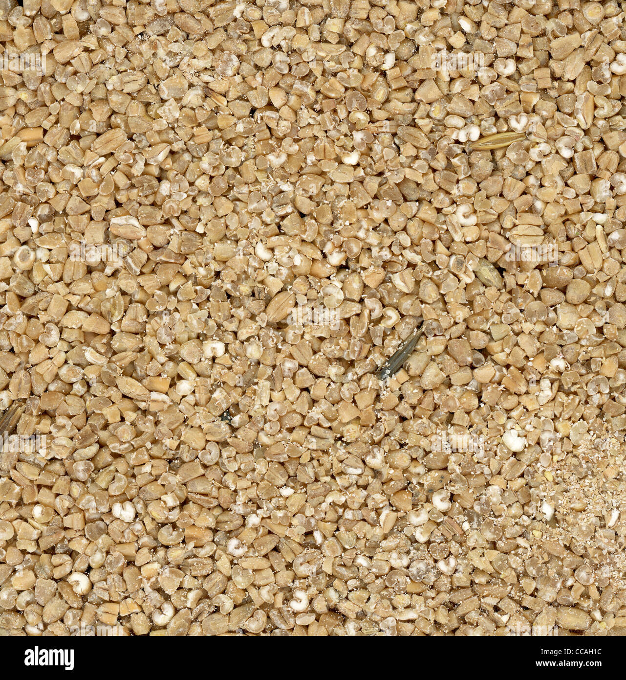 wheat grain background for your design Stock Photo - Alamy
