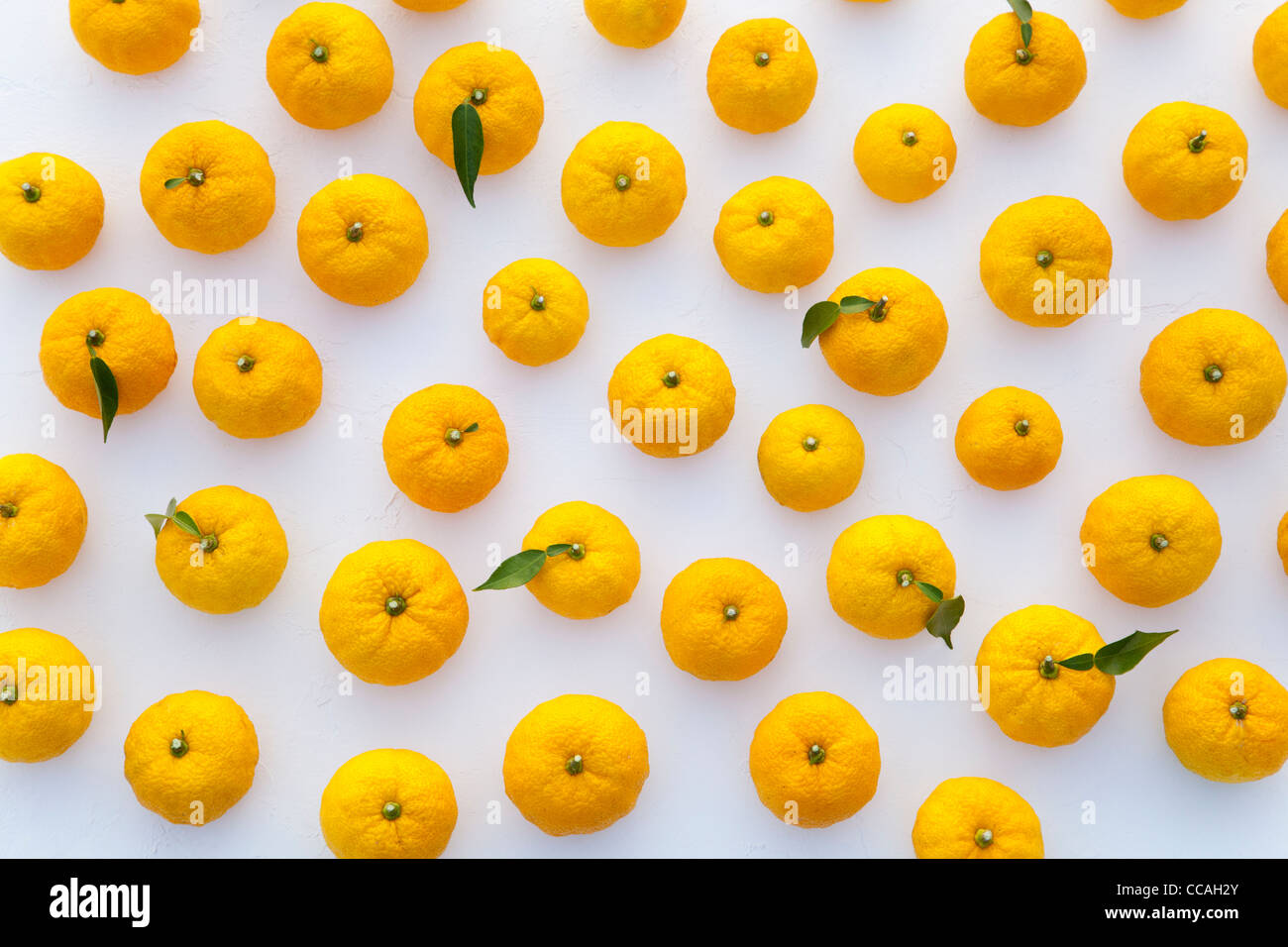 Yuzu citron hi-res stock photography and images - Alamy