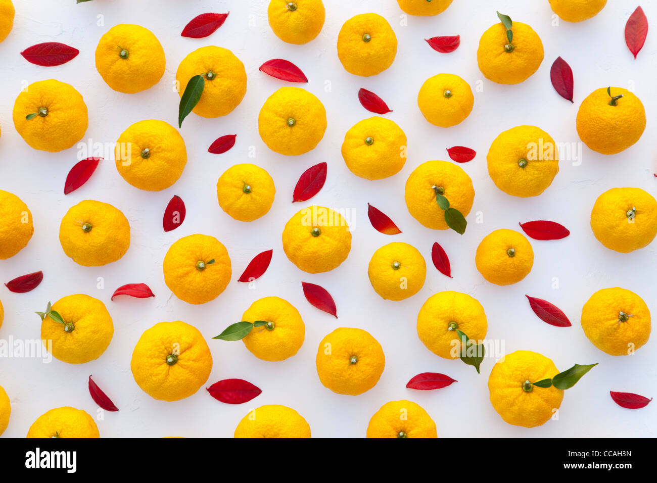 Yuzu citron hi-res stock photography and images - Alamy