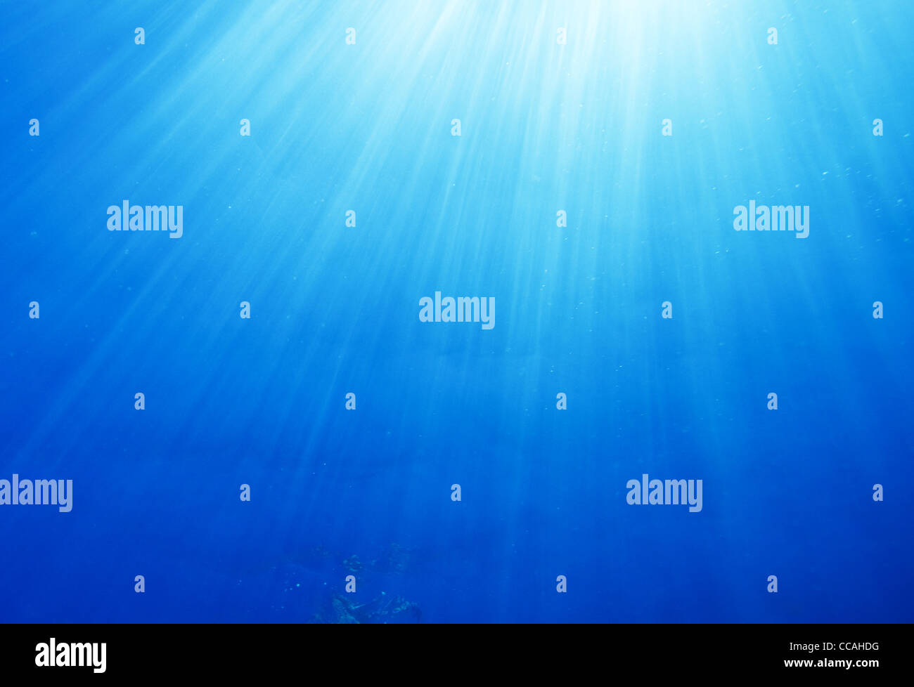 Underwater lake salt diver hi-res stock photography and images - Alamy