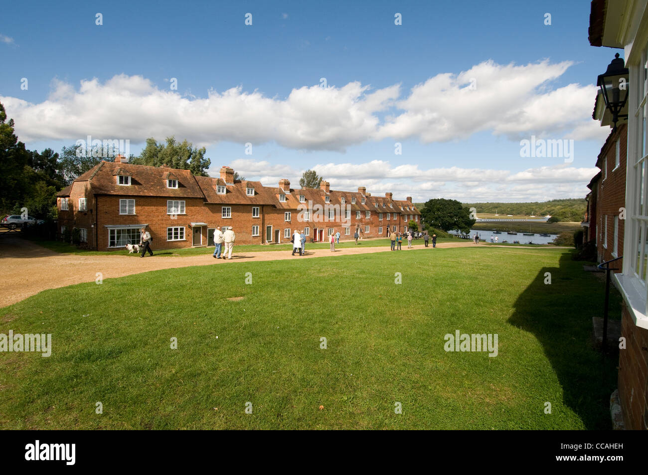 New forrest hi-res stock photography and images - Alamy