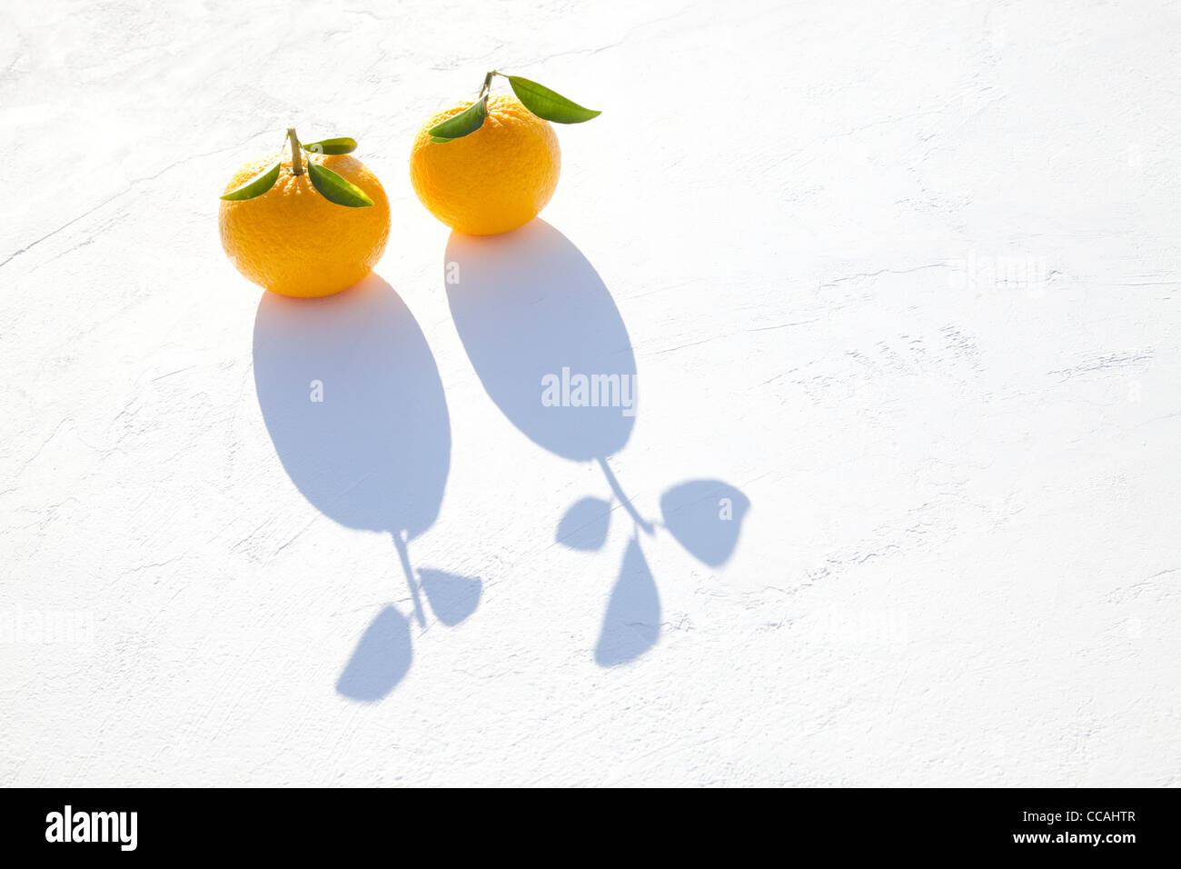 Casting Shadow People High Resolution Stock Photography and Images - Alamy