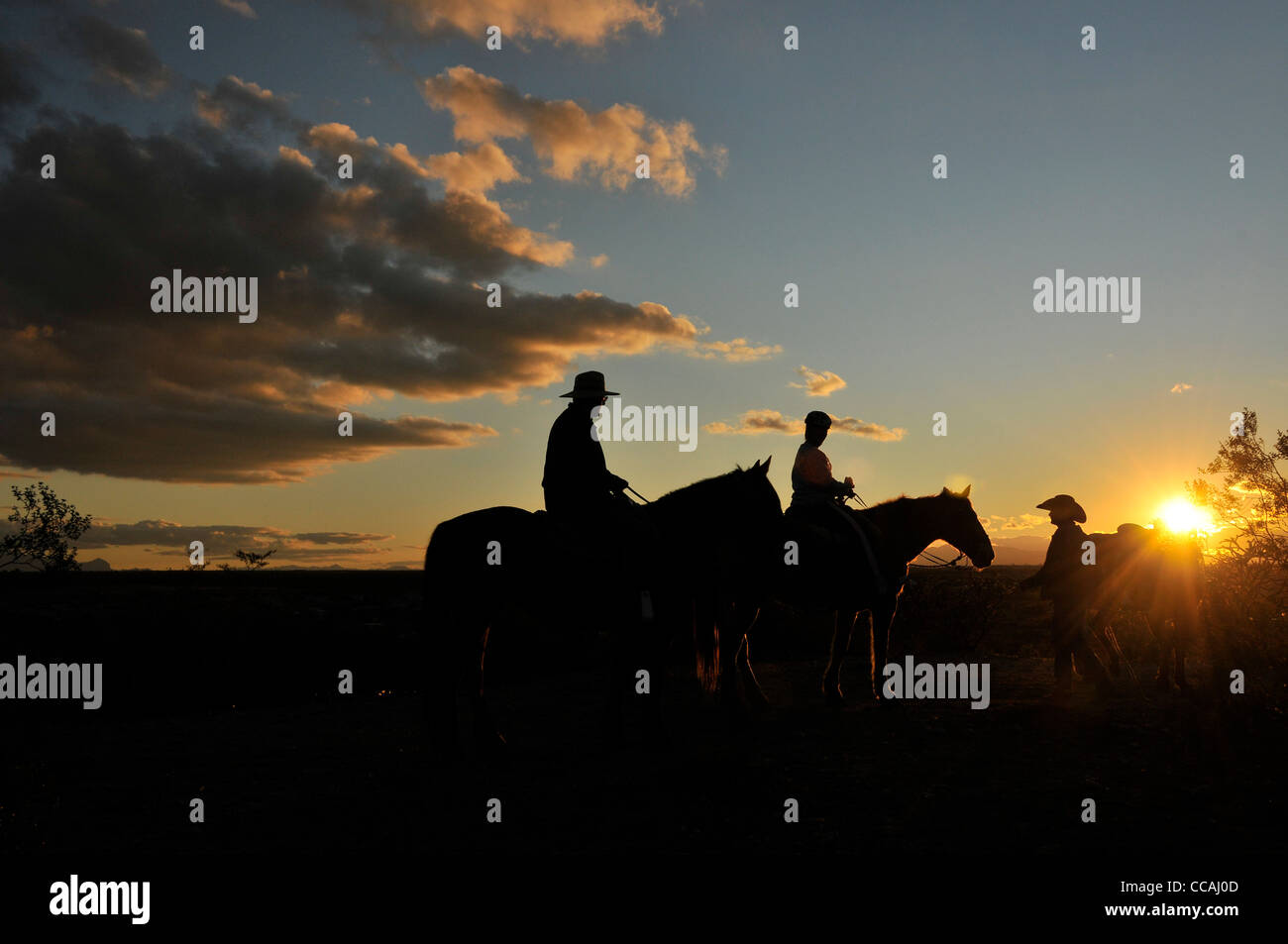Riders and their horses take in the sunset in the Sonoran Desert ...