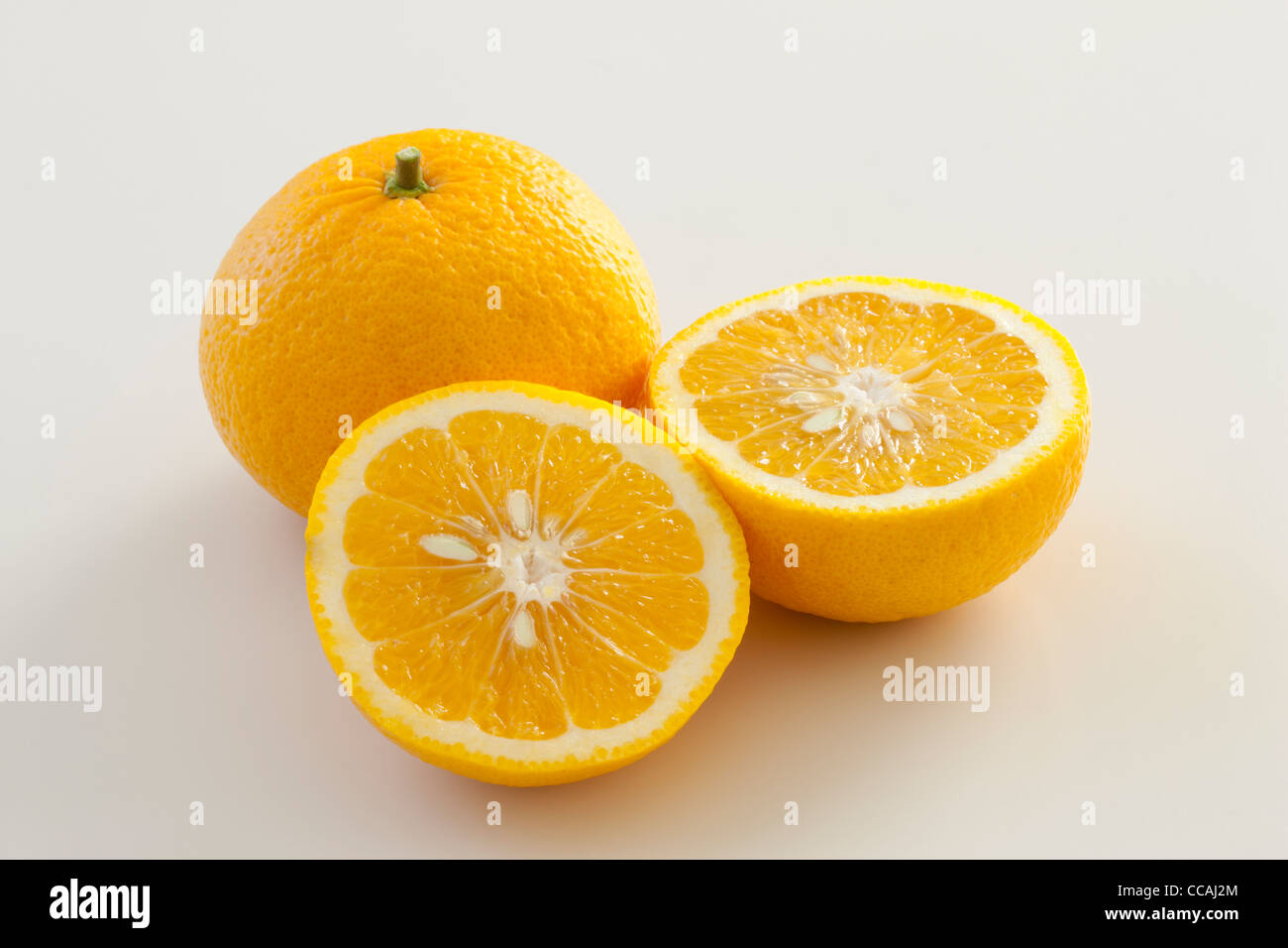 Food cross section hi-res stock photography and images - Alamy