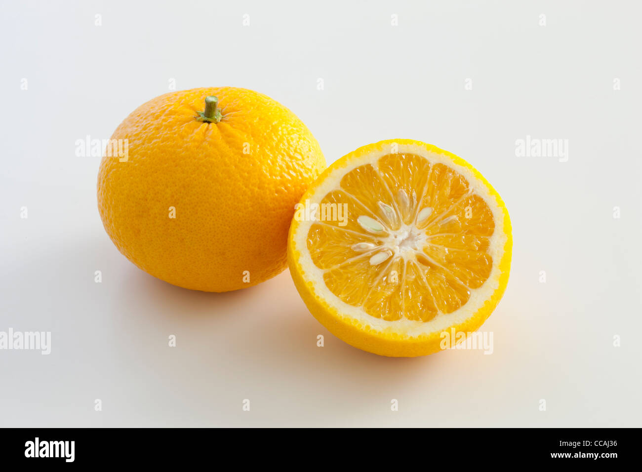 Cross outs hi-res stock photography and images - Alamy