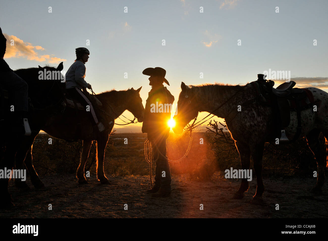 Riders and their horses take in the sunset in the Sonoran Desert ...