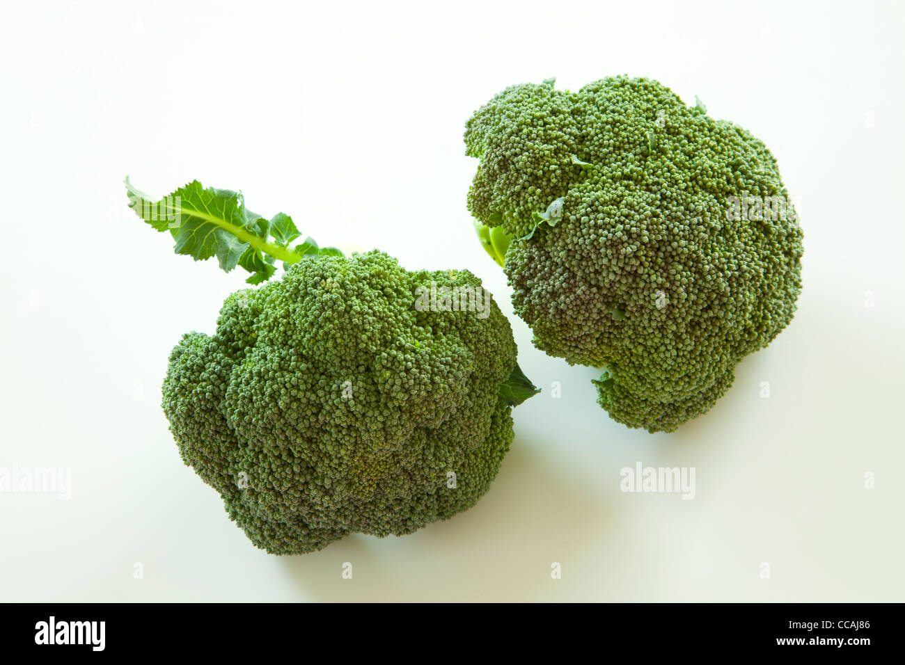 Broccoli cut out hi-res stock photography and images - Alamy