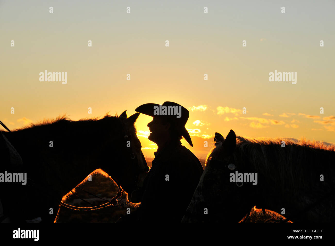 Riders and their horses take in the sunset in the Sonoran Desert ...