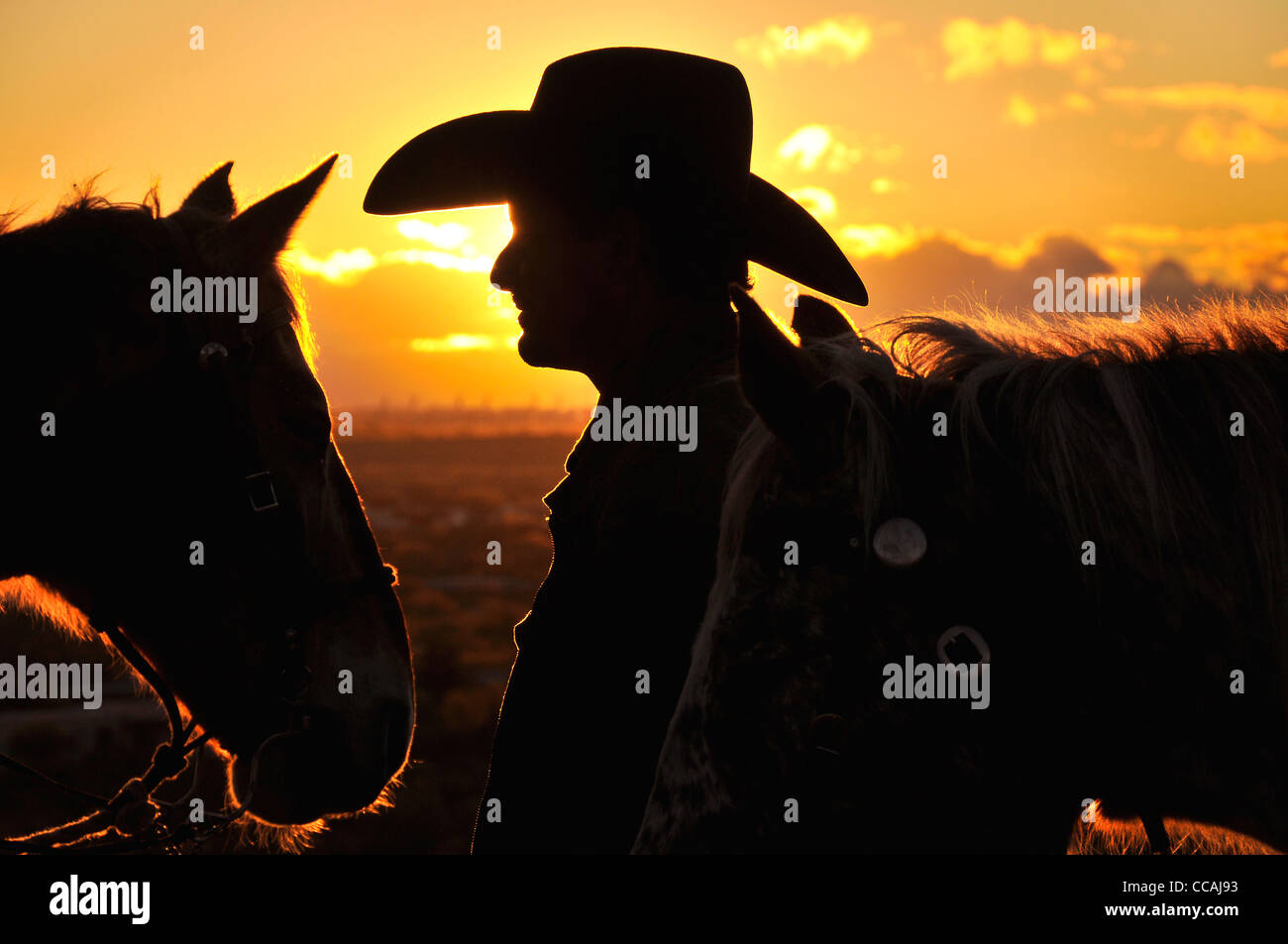 Riders and their horses take in the sunset in the Sonoran Desert ...