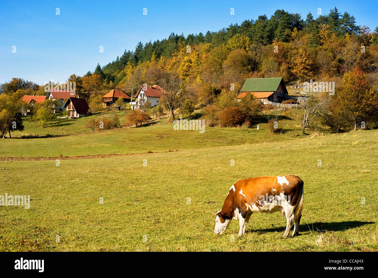 Traditional serbian house hi-res stock photography and images - Alamy