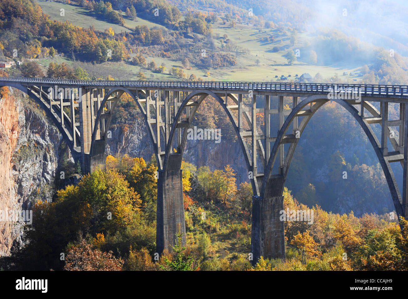 Djurdjevica Tara Bridge is a concrete arch bridge over the Tara River ...