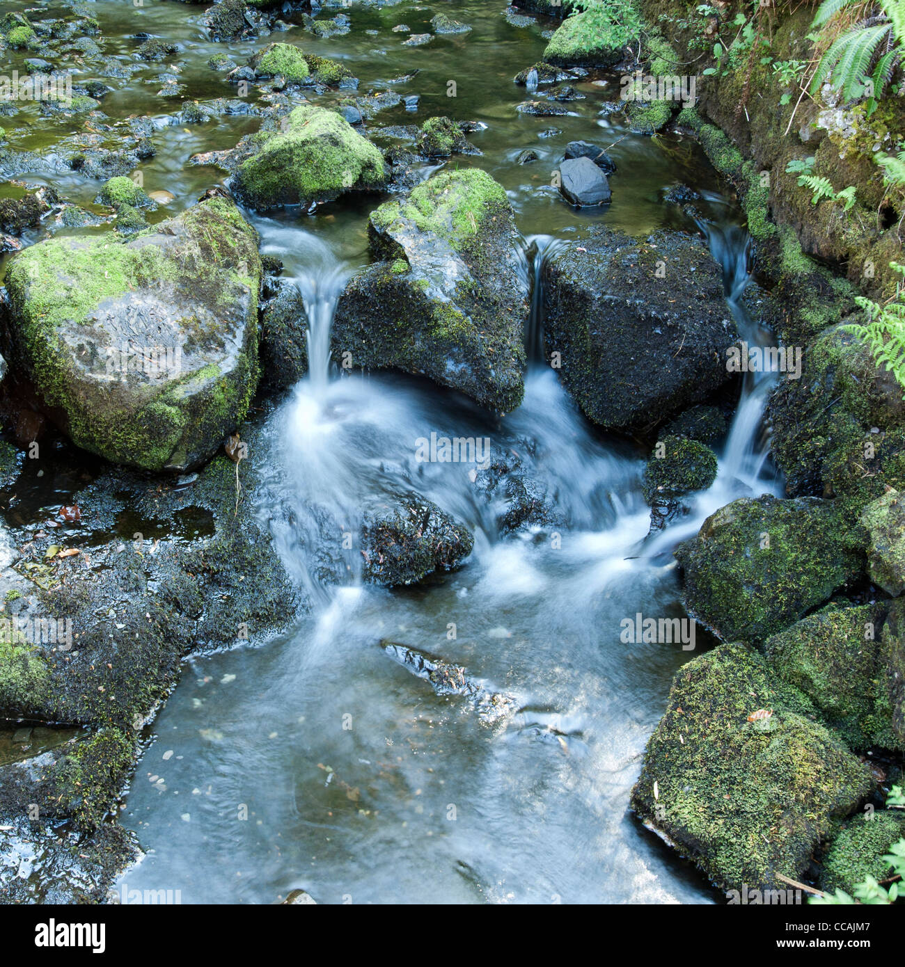 Calm stream hi-res stock photography and images - Alamy