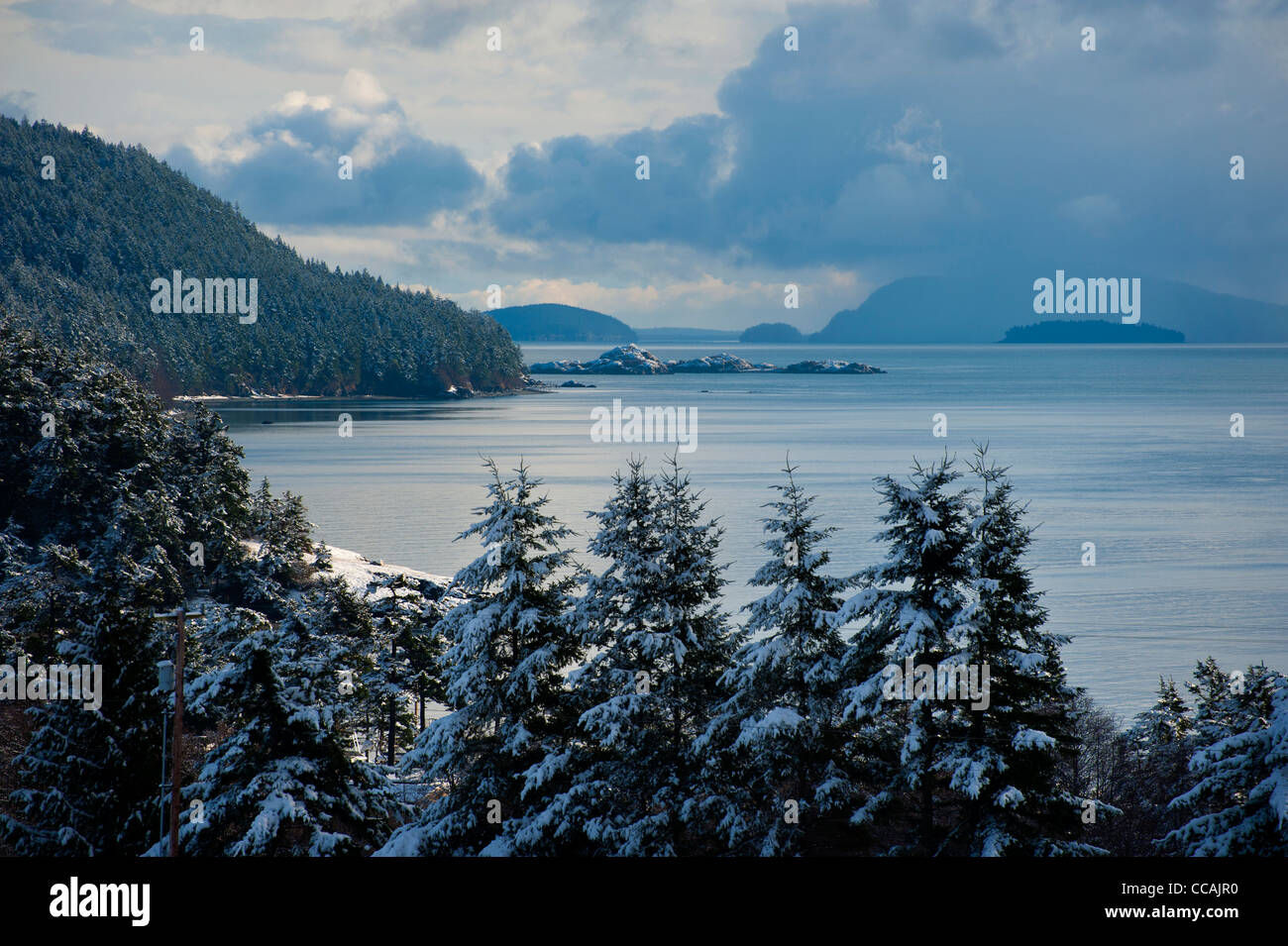 On a rare snowy day in the Pacific Northwest, the Puget Sound area ...