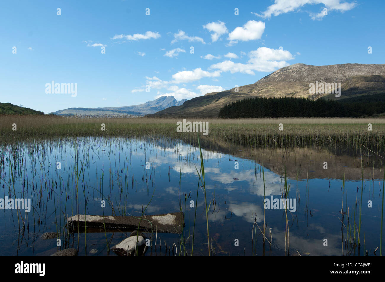 Loch view hi-res stock photography and images - Alamy