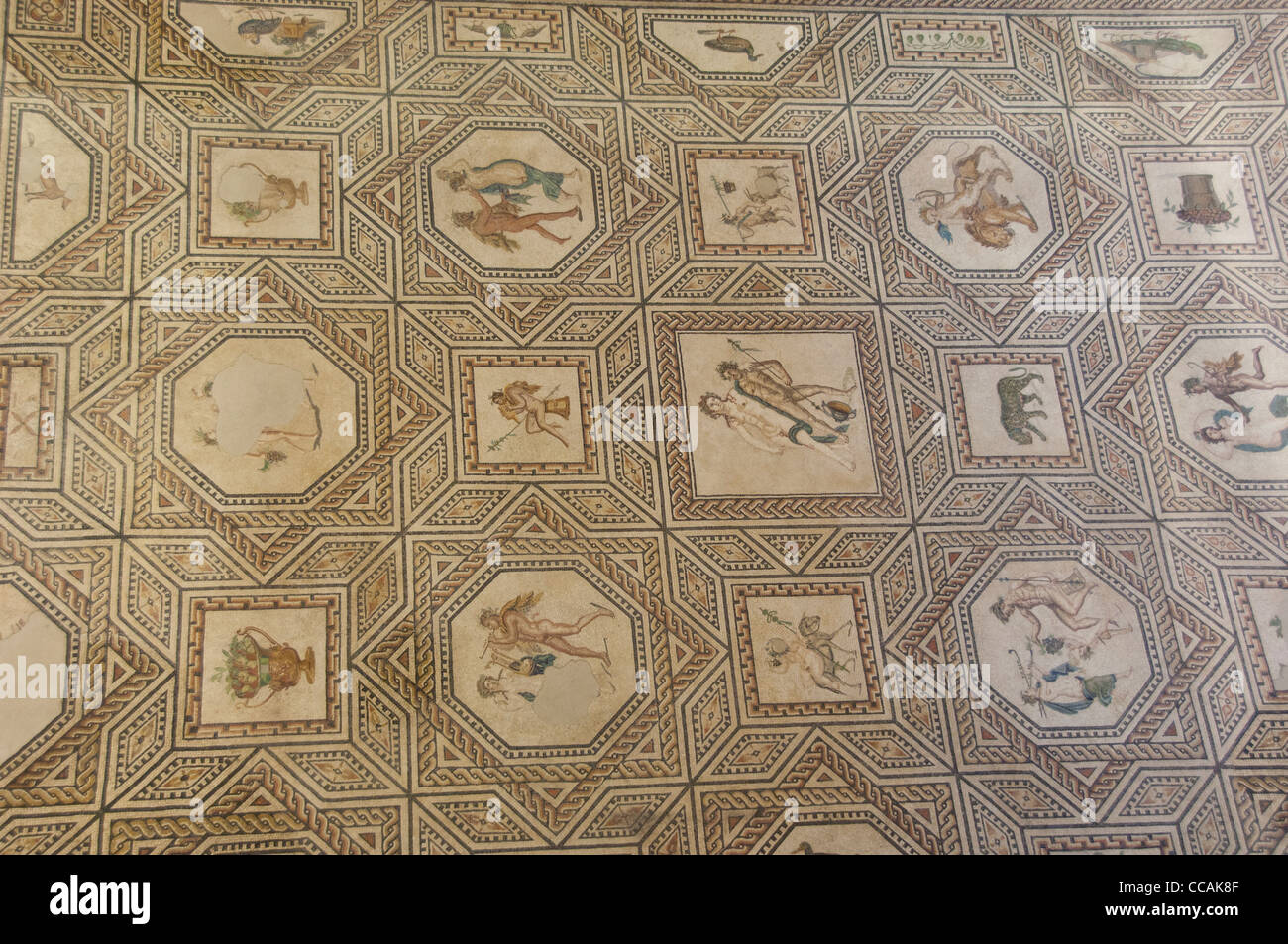 Germany, Cologne. Roman Germanic Museum. Dionysos Mosaic, 2nd century ...