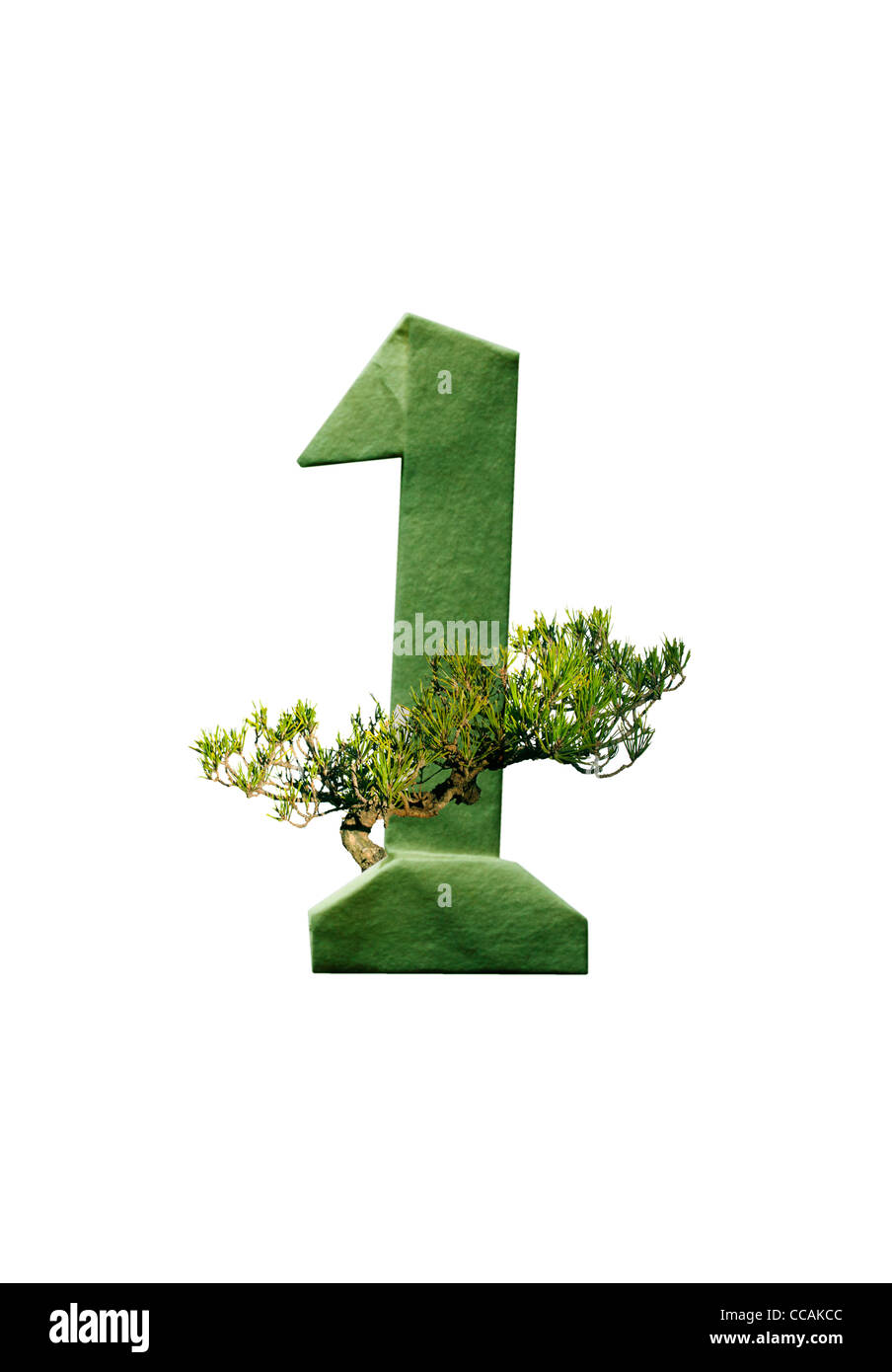 Number 1in origami and Bonsai Tree Stock Photo - Alamy