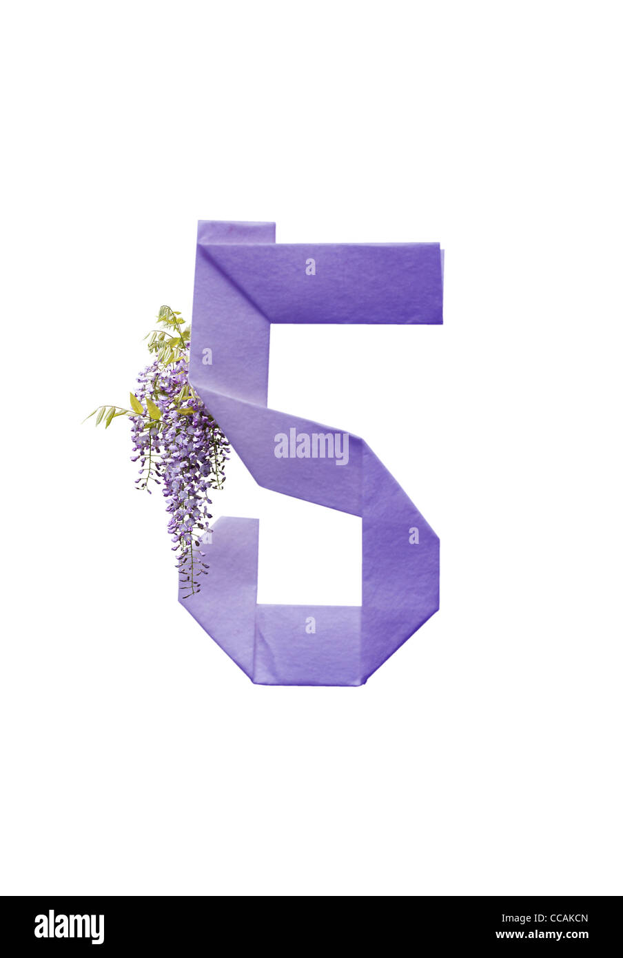 Purple wisteria cut out hi-res stock photography and images - Alamy