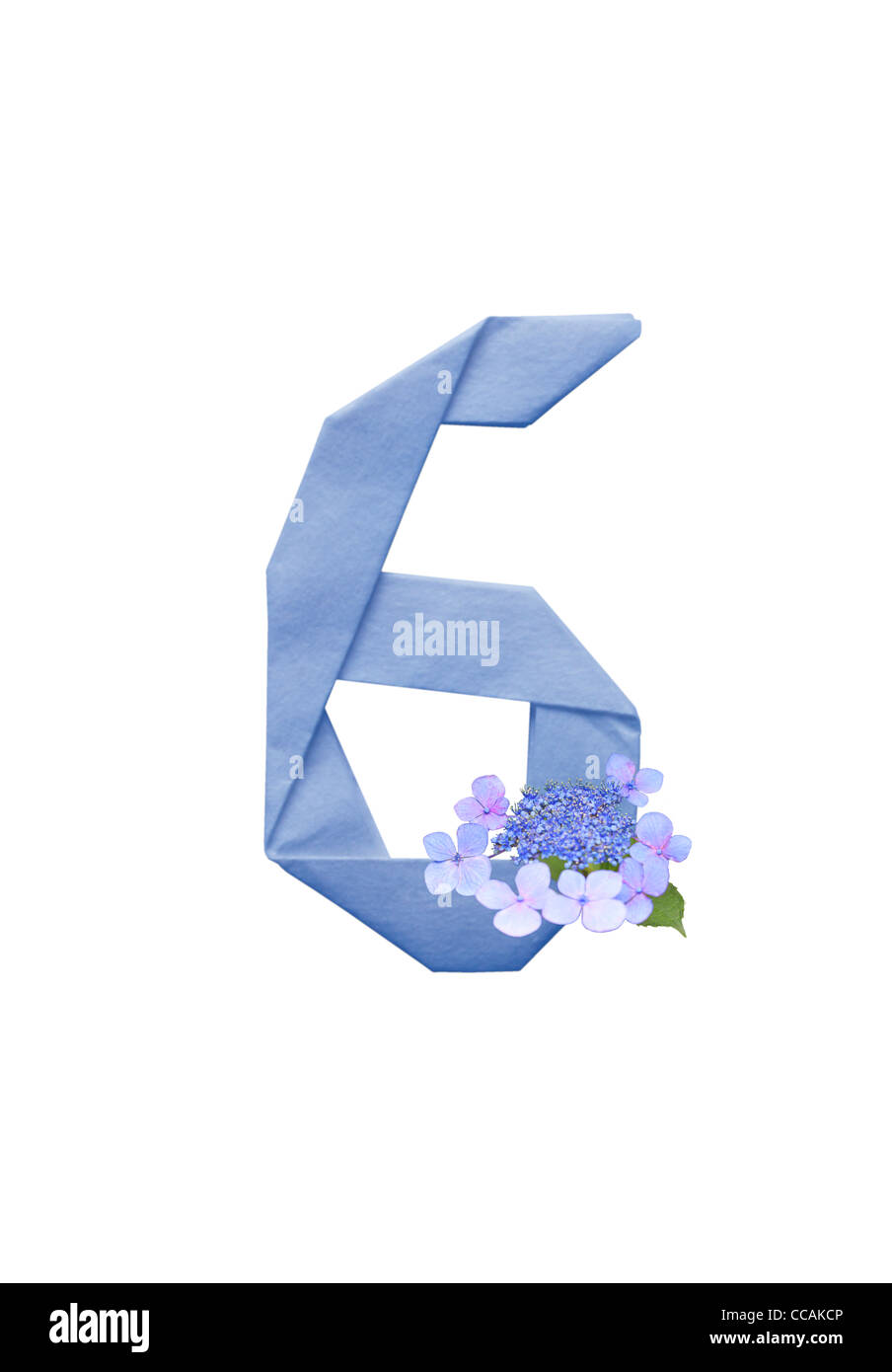 Number 6 in origami and Hydrangea Stock Photo - Alamy