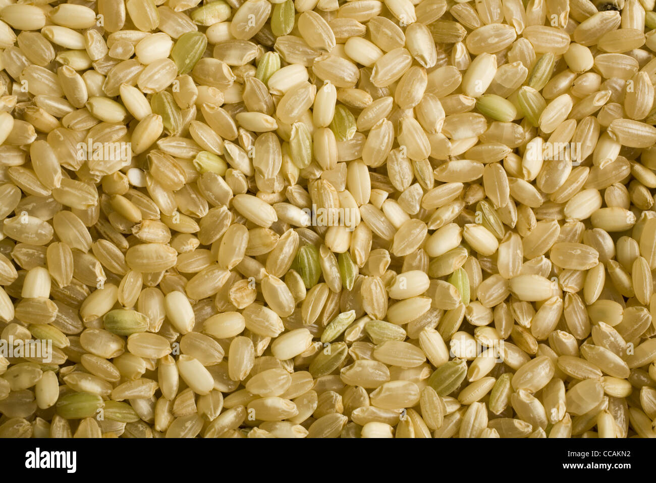 Short grain rice hi-res stock photography and images - Alamy
