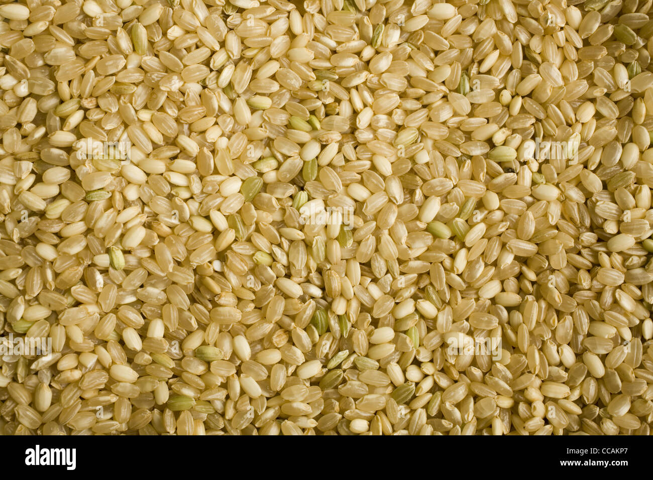 Short grain rice hi-res stock photography and images - Alamy