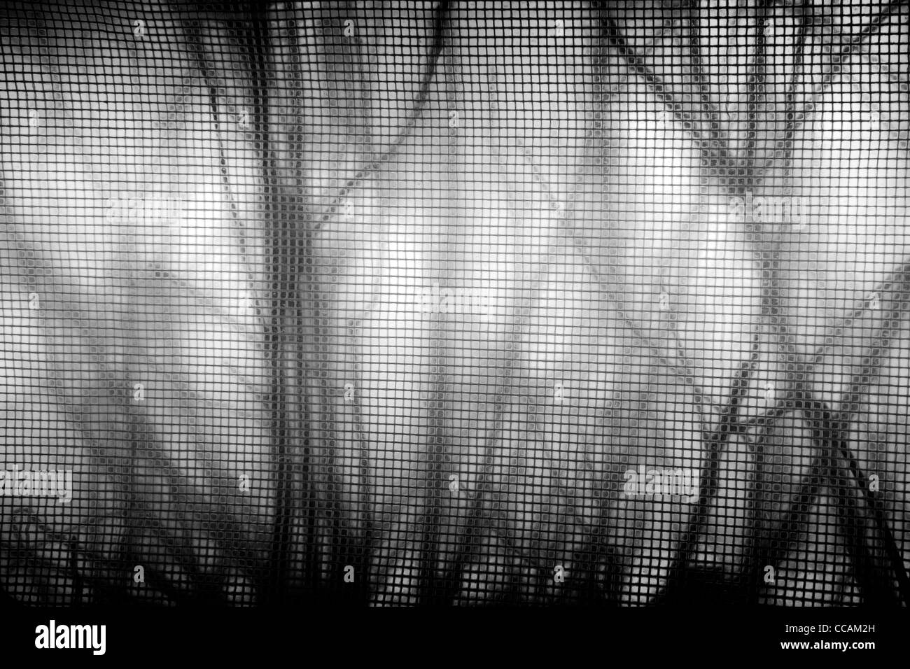 Uninhabitable area environment Black and White Stock Photos & Images ...