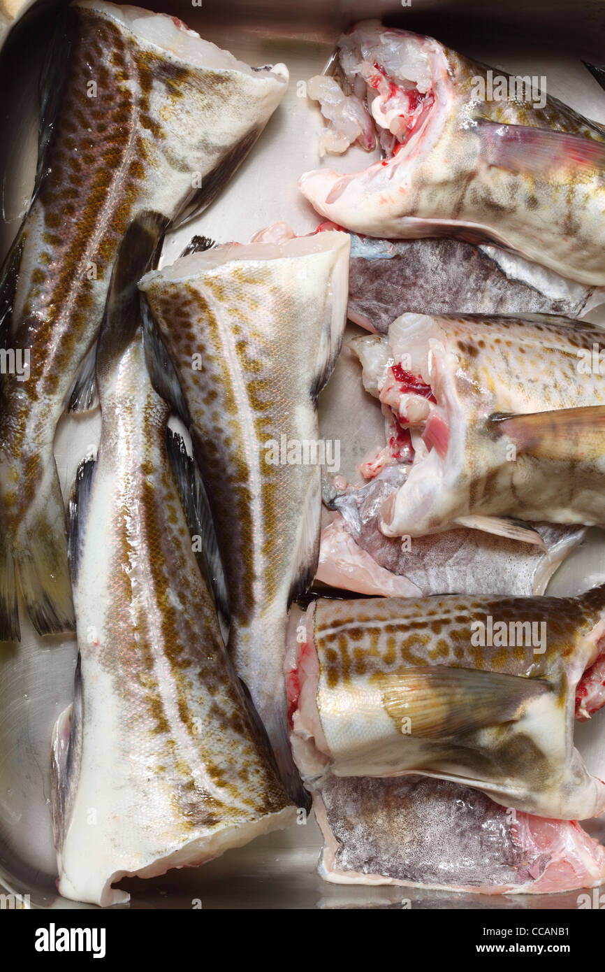 Raw cod fish fillets in kitchen Stock Photo - Alamy
