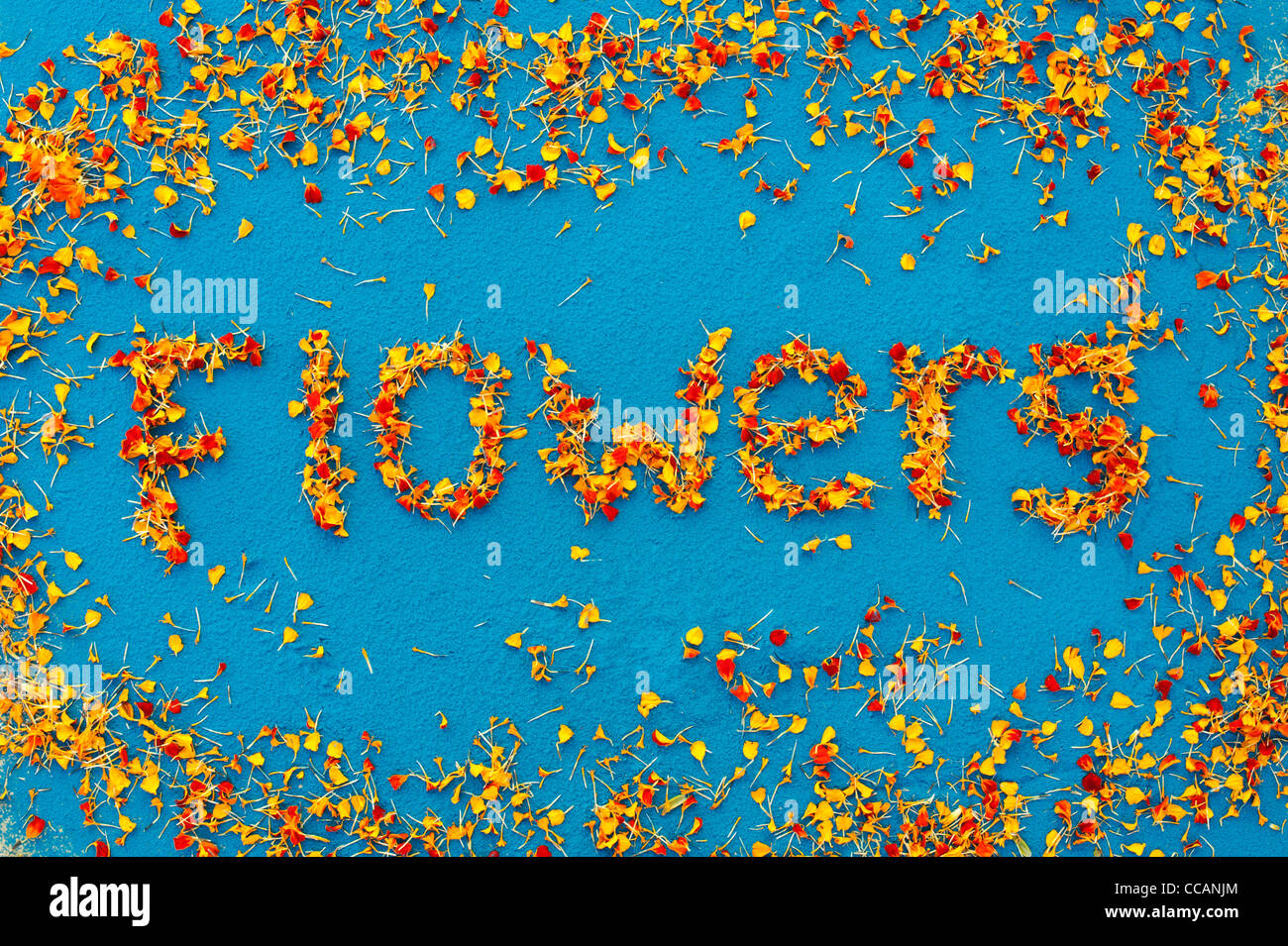 Parts of flower hi-res stock photography and images - Alamy