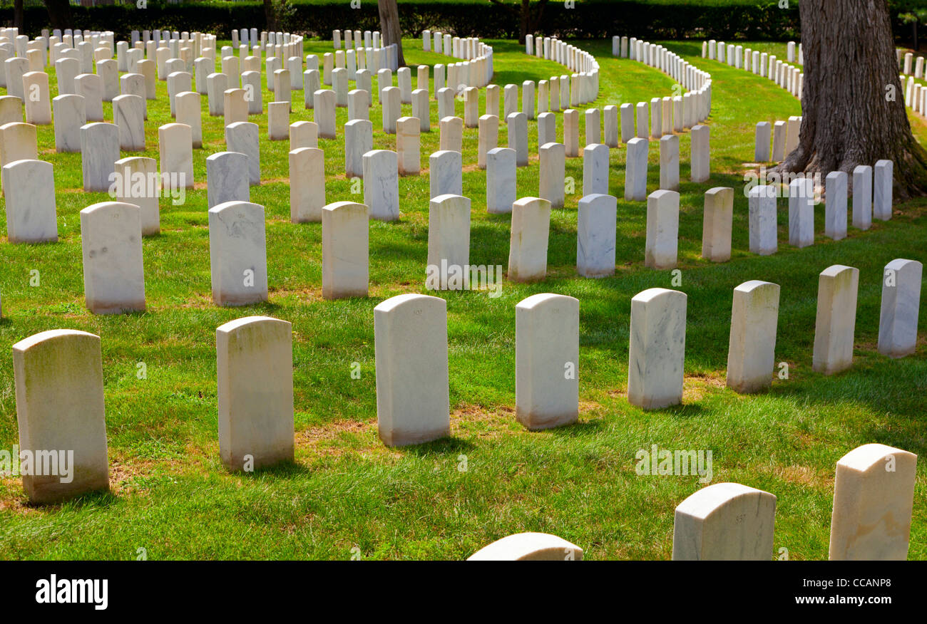 American national military cemetery rows hi-res stock photography and ...