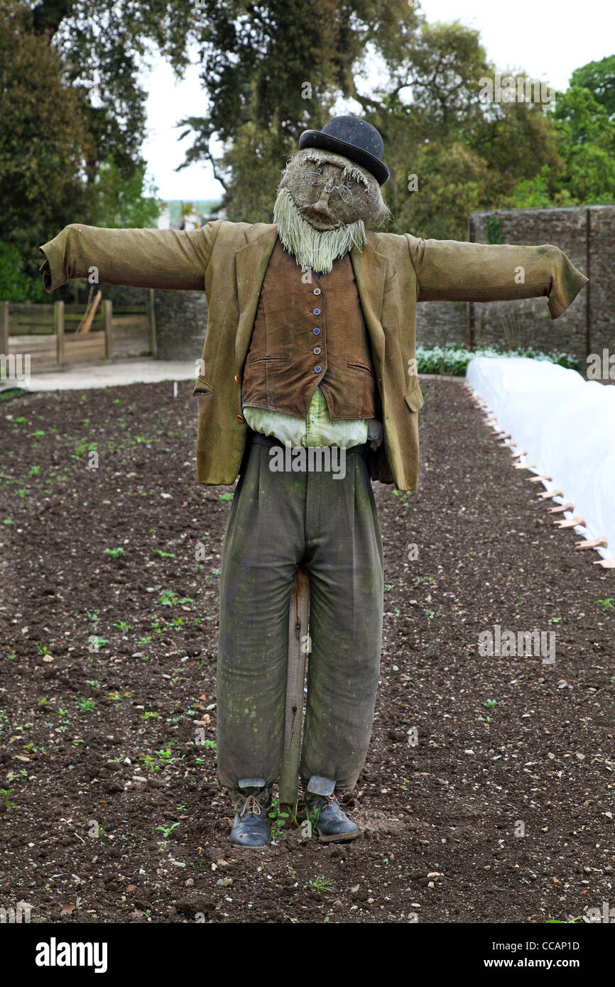 Scarecrow scare crow farming hi-res stock photography and images - Alamy