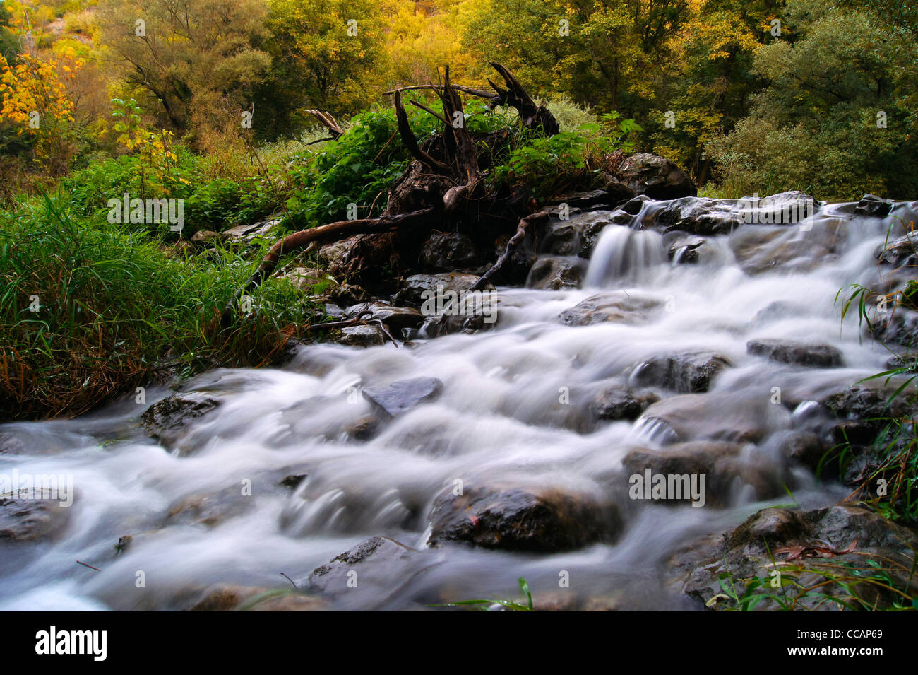 The flow of white water river and colorful autumn foliage Stock Photo ...